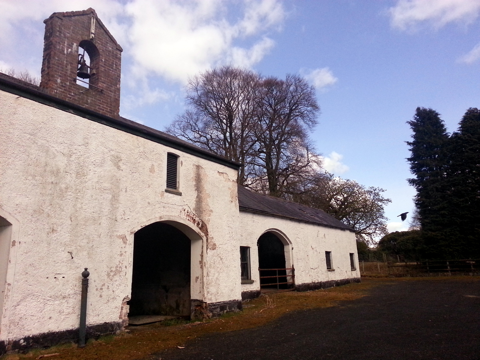 Seskinore Forest – a hidden treasure? – David Bell